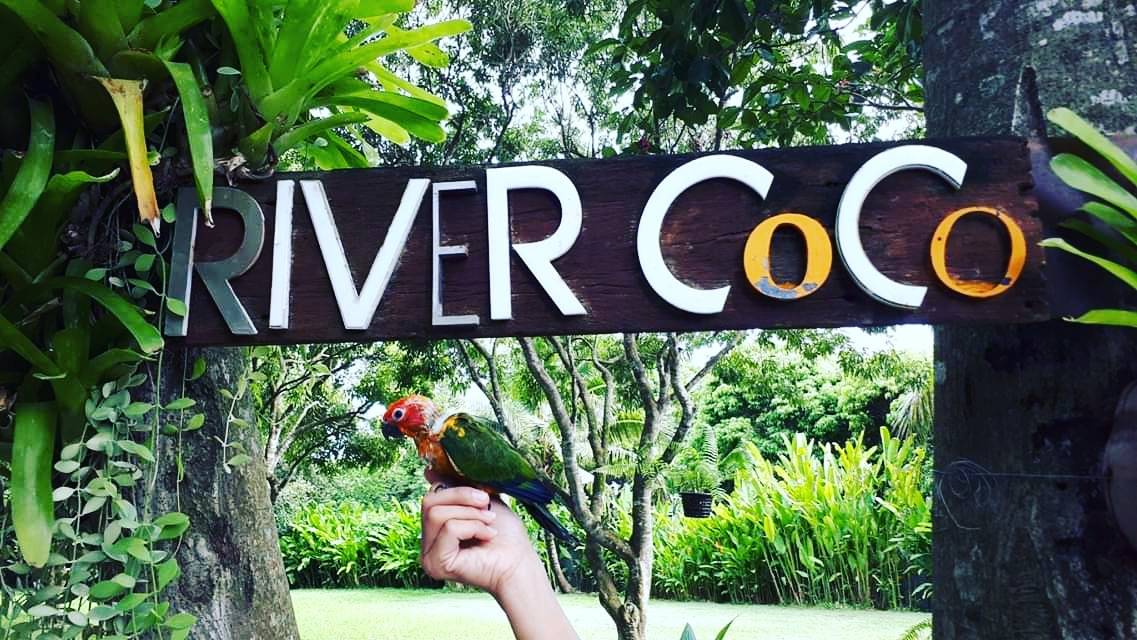117572 | River CoCo ที่พักอัมพวา รีสอร์ทอัมพวา